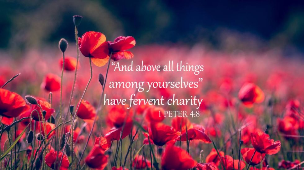 Donations for The Church of Jesus Christ