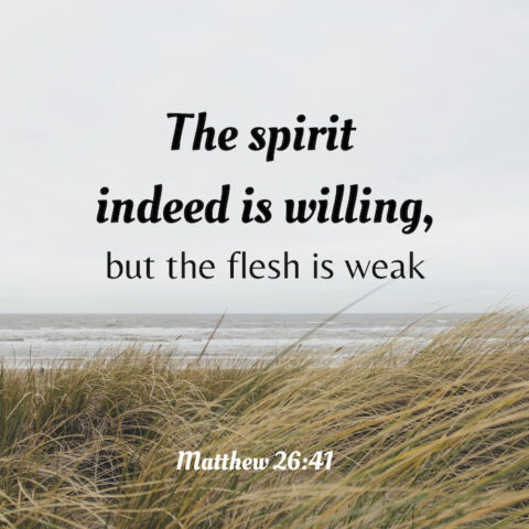 Submit a Comment Cancel reply