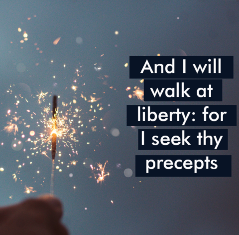 Good Word Friday theme: Freedom and liberty